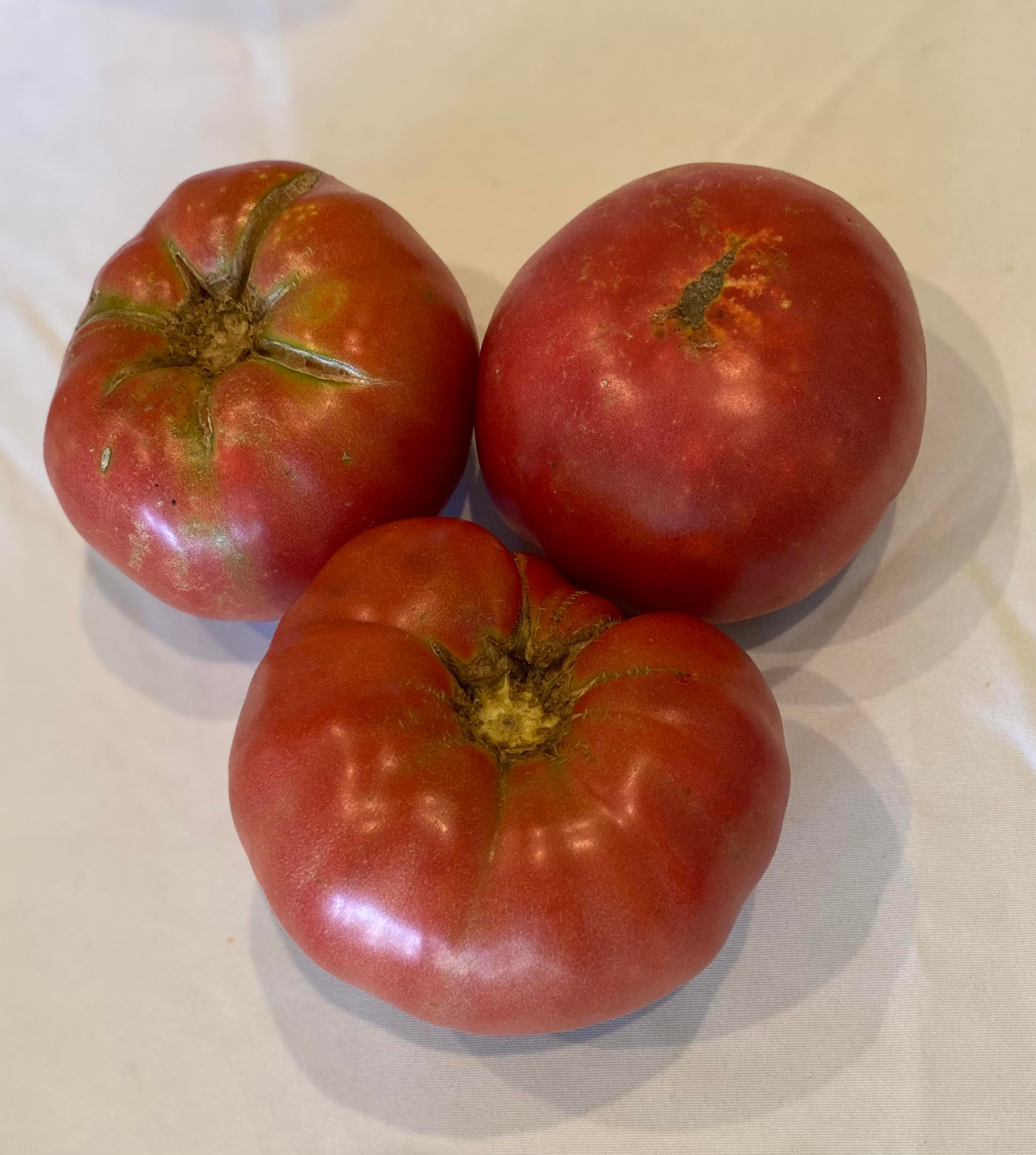 Tomatoes | THE R+R FARM CO-OP